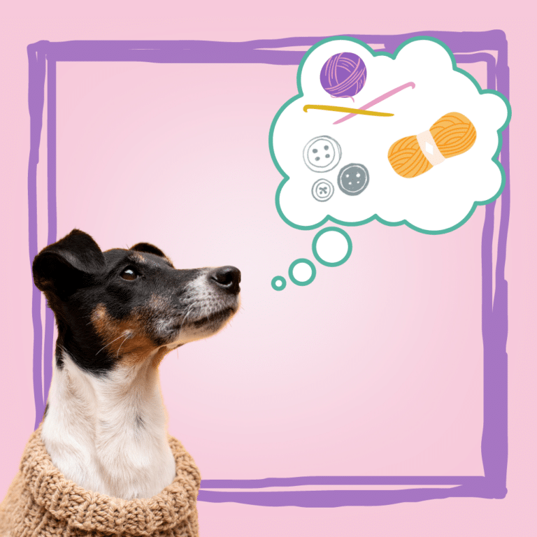 10 Free Dog Sweater Knitting Patterns for Beginners!