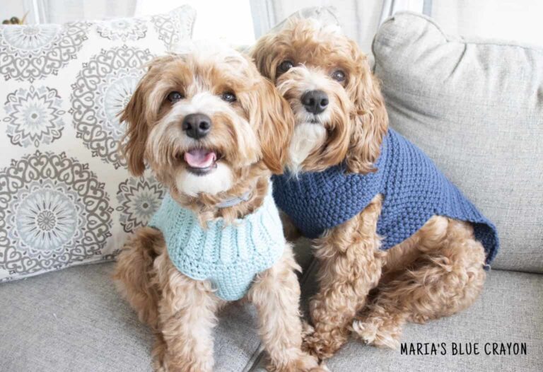 10 Free Easy Dog Sweater Crochet Patterns for Beginners!