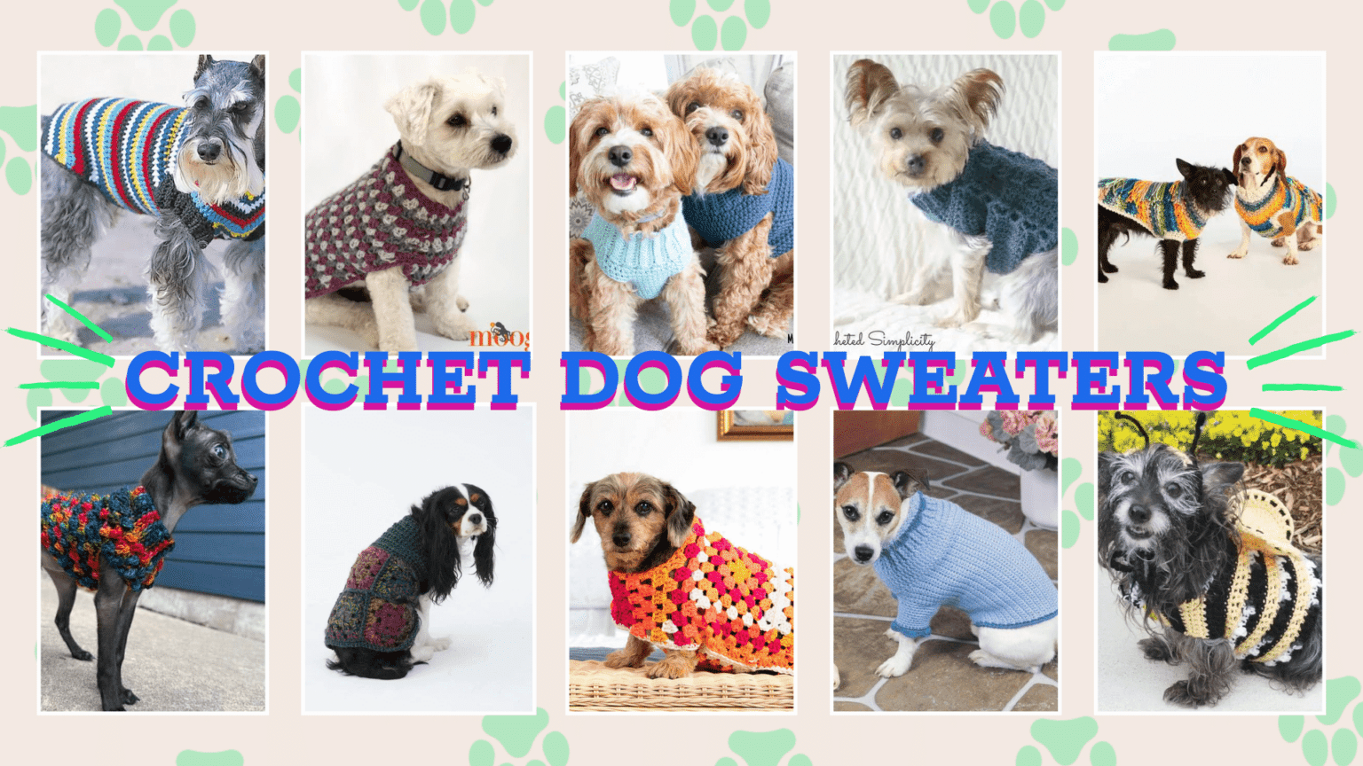 10 Free Easy Dog Sweater Crochet Patterns for Beginners!