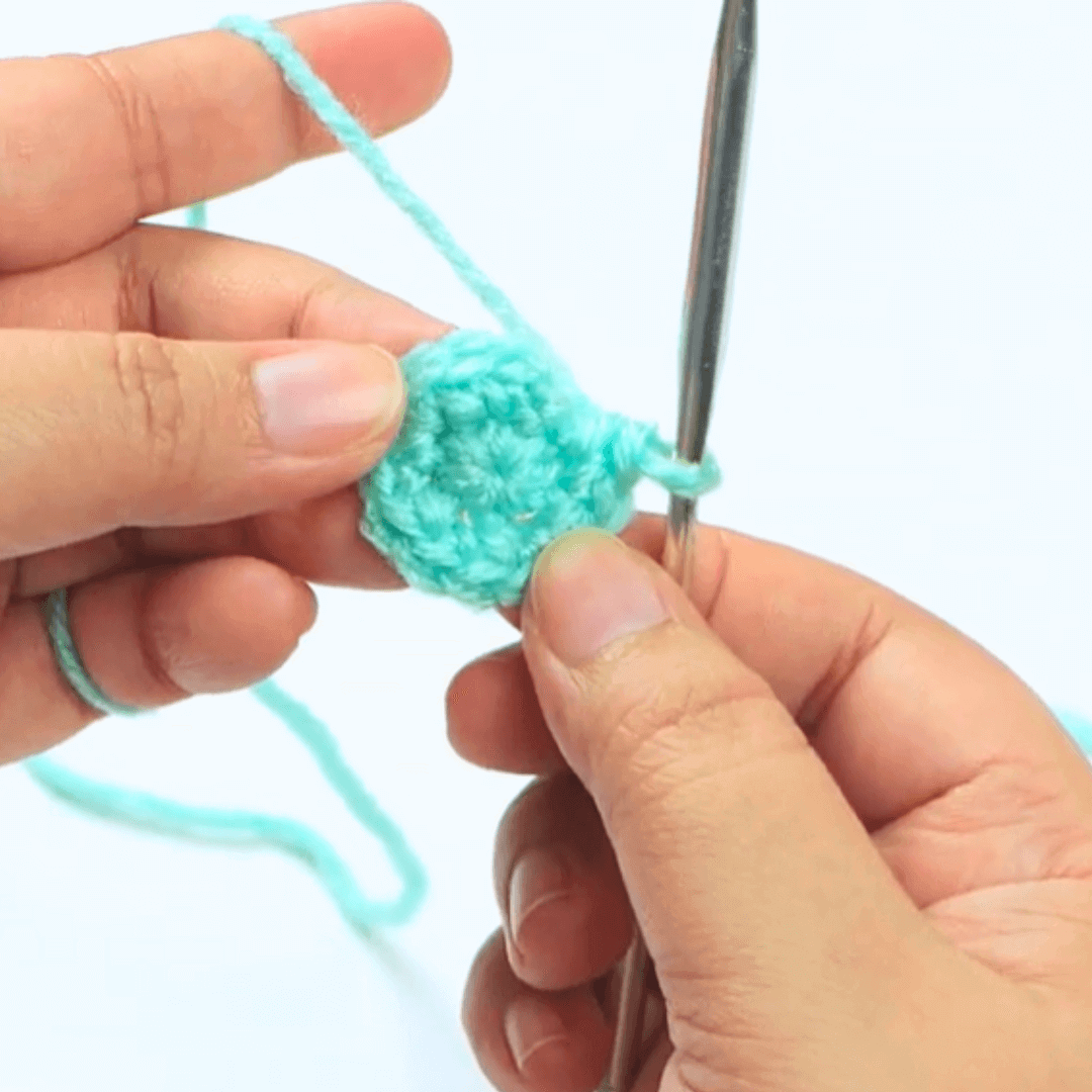 How to Crochet a Circle for Beginners: 3 Easy Steps and More ...
