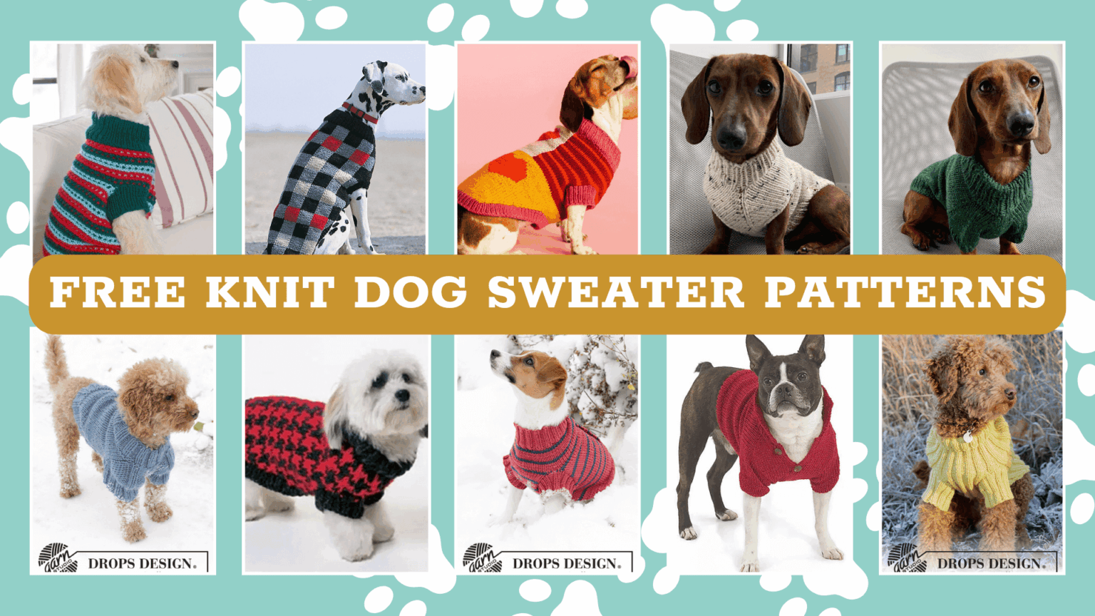 10 Adorable FREE Knit Dog Sweater Patterns! - Knitting.com
