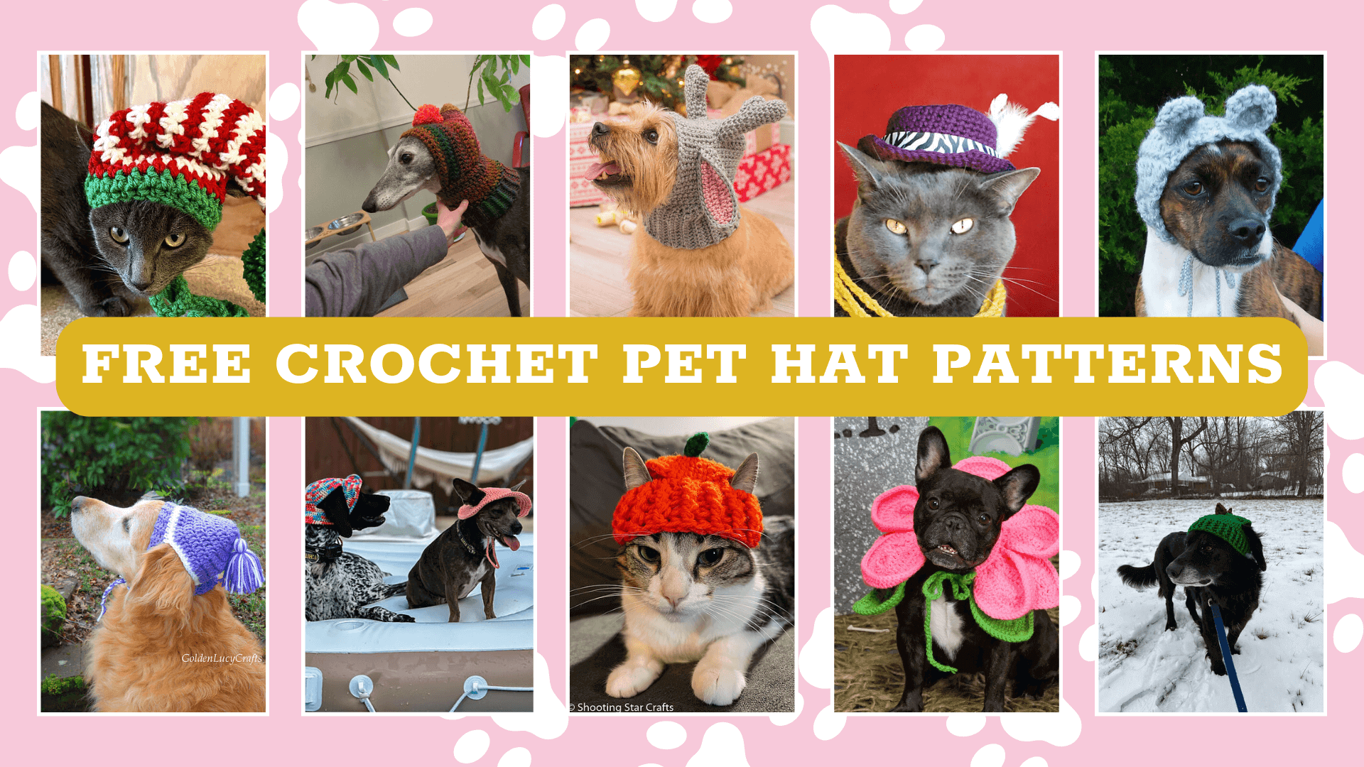 10 Free Crochet Hat Patterns for Pets (Cute and Snuggly!) - Knitting.com